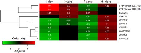Hierarchical Clustering Of Response Profiles For Commonly Regulated