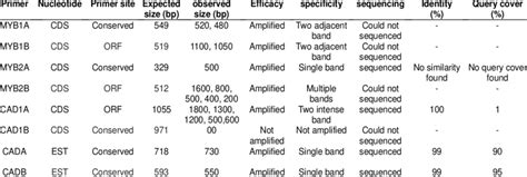 Depiction Of Primer Efficacy And Their Specificity Download