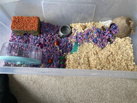Is This Cage Good For Dwarf Robo Hamster Rhamstercare