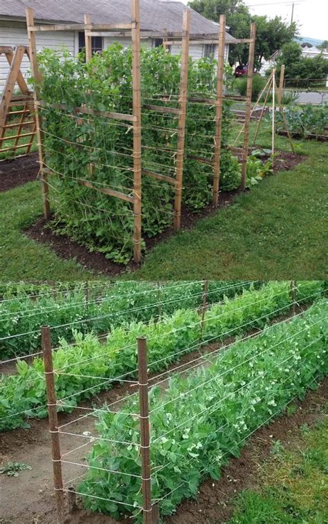 15 Easy Diy Cucumber Trellis Ideas A Piece Of Rainbow