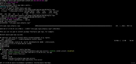 Kylin V10 X8664系统下载整个yum源的所有安装包到本地指定目录kylins神 Gitcode 开源社区