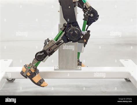 How Does A Robotic Leg Work At Roosevelt Nelson Blog