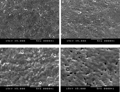 E Scanning Electron Microscopic Micrographs Of The Surfaces Of The