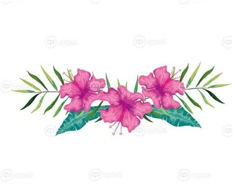 خرید و قیمت دانلود وکتور گل هیبیسکوس رنگ بنفش با شاخه و برگ طبیعت