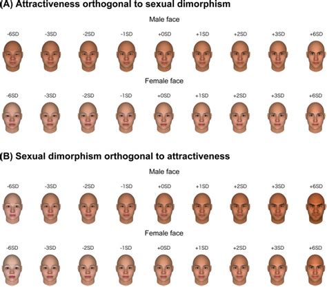 A New Data Driven Mathematical Model Dissociates Attractiveness From