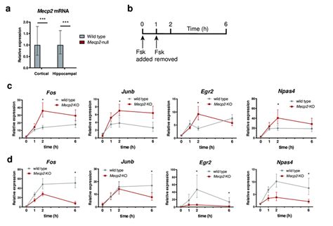 Iegs Gene Expression Response To Forskolin Is Dysregulated In 8 Weeks
