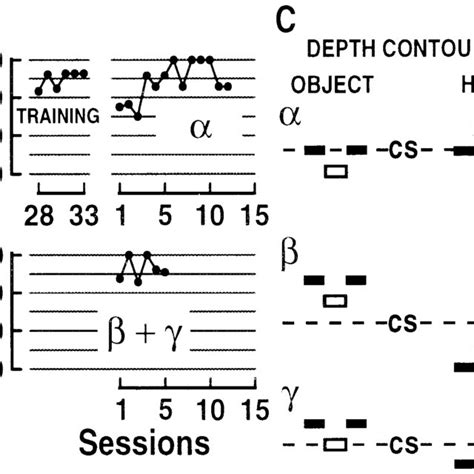 Paradigm Ii Generalization A And Transitive Inference Performance