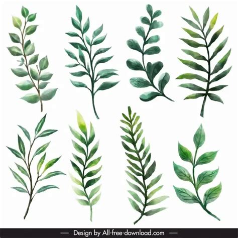 Leaf Icons Green Shapes Classic Handdrawn Vectors Graphic Art Designs In Editable Ai Eps Svg