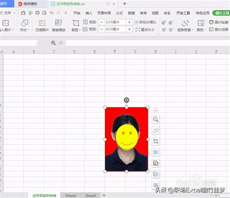 Wps Excel
