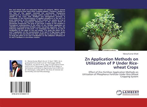 Zn Application Methods On Utilization Of P Under Rice Wheat Crops