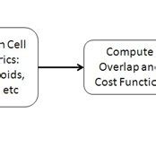 Basic Algorithm For The Cell Tracker Download Scientific Diagram
