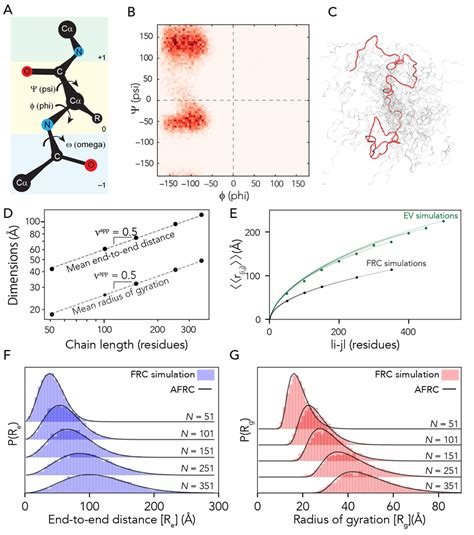 The Afrc Is A Pre Parameterized Polymer Model Based On Residue Specific Download Scientific