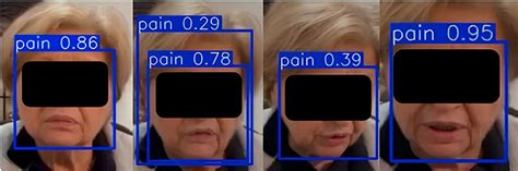 Employing The Artificial Intelligence Object Detection Tool Yolov8 For Jpr