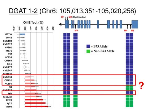 Ppt Genetic Architecture Of Kernel Composition In The Nested Association Mapping Nam