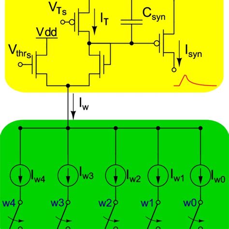 Schematic Diagram Of The Programmable Synapse Circuit The Top Part Download Scientific