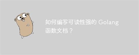 如何编写可读性强的 Golang 函数文档？ 美云