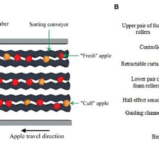 Schematic Of A Sorting Machine A Image Processing Unit Fruit Download Scientific Diagram