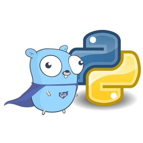 Sesame Disk On Linkedin Exploring Python Vs Go Diving Deeper Into