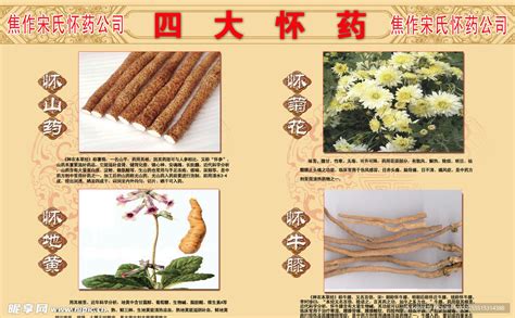 四大怀药设计图 海报设计 广告设计 设计图库 昵图网