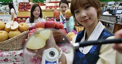 당도높은 사과와 배 선물세트 준비하세요