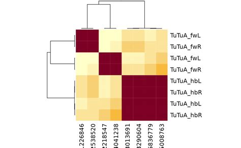 2 Clustering Tutu Neurons • Coconatfly