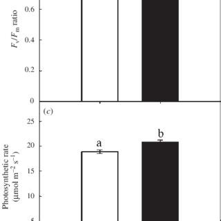 Effect Of 1 MCP C Control No MCP MCP MCP 1 Mg L 1 Download Scientific Diagram