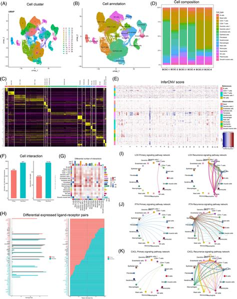 Integrated Single‐cell And Spatial Transcriptomic Profiling Reveals