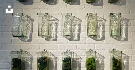 식물로 가득 찬 유리 병으로 가득 찬 흰색 벽돌 벽 사진 Unsplash의 무료 녹색과 흰색 이미지