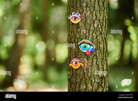 Art Object Of Human Eyes On Tree Trunk In Green Forest Background Trees Sight Feeling