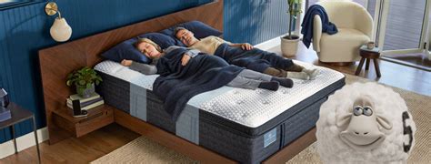 Icomfort Mattress Collection Hybrid And Foam