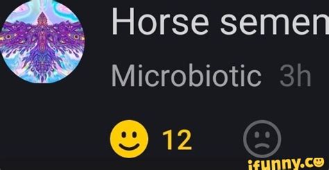 Horse Semen Microbiotic 12 Ifunny Brazil