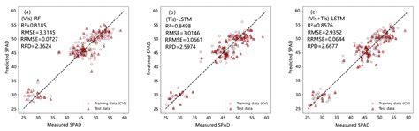 Better Inversion Of Wheat Canopy Spad Values Before Heading Stage Using Spectral And Texture