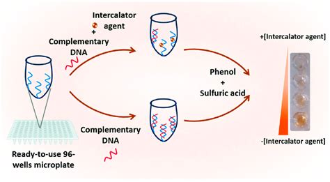 scheme 2 illustration of the colorimetric biosensor based on the download scientific diagram