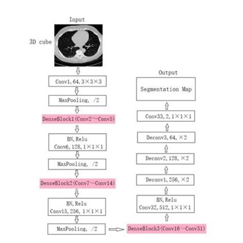 The Architecture Of The 3d Densely Connected Convolution Neural Networks Download Scientific