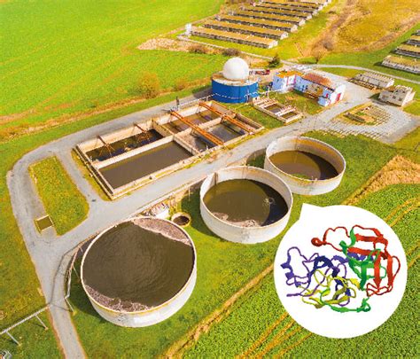 Enzymes For Biofuel Production Enhance Biofuel Efficiency