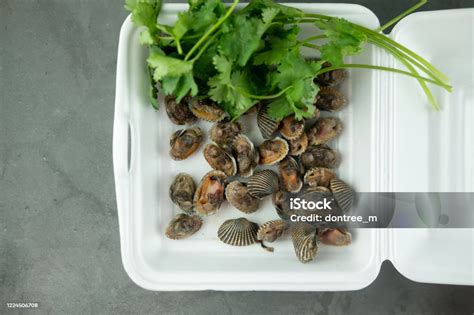 신선하고 맛있는 삶은 코클껍질은 매운 해산물 소스와 거품 상자에 넣어 신선한 야채와 함께 먹는다 태국 음식 가리비에 대한 스톡