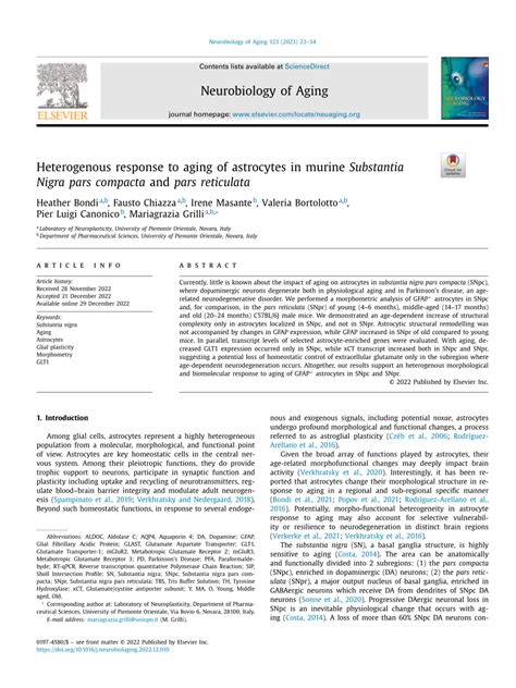 Pdf Heterogenous Response To Aging Of Astrocytes In Murine Substantia Nigra Pars Compacta And