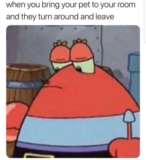Damn Meme By Yourotherleft Memedroid