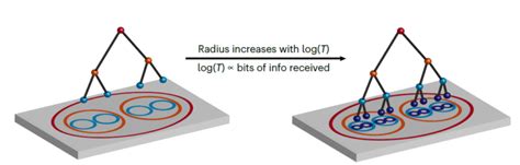 The Shape Of Experience And The Hyperbolic Geometry In The Brains