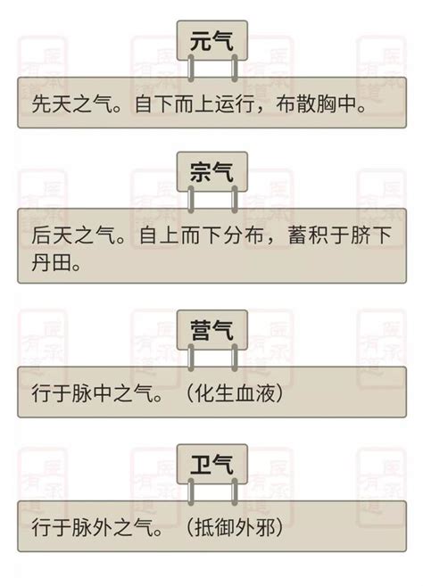 一句话说清楚元气、宗气、营气、卫气、脏腑经络之气（收藏） 每日头条