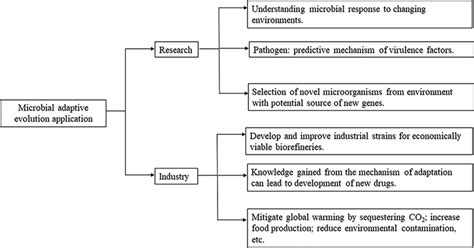 Microbial Adaptive Evolution Application Download Scientific Diagram