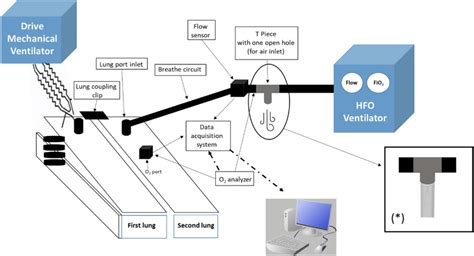 Set Up Of The Experimental Adult Bench Model HFO High Flow Download Scientific Diagram