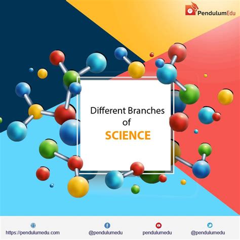 Different Branches Of Science Explained