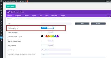 Getting Started With Divi Theme Options General Tab • Divi Cake Blog