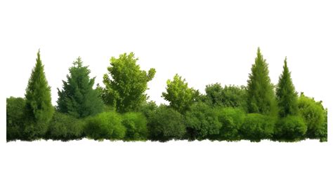 Green Trees Shrubs And Meadow AI Generated 28574057 PNG