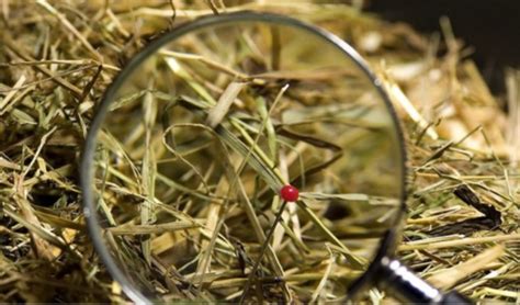 How To Present Data Effectively Storytelling Tips For Clari