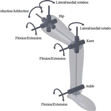 cable driven robots a nerebot b maribot rosati et al 2017