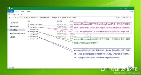 如何下载mongodb数据库,mongodb入门 知乎 如何下载mongodb数据库,mongodb入门 知乎