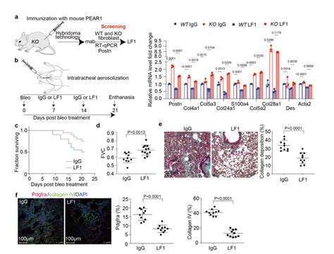 Nature子刊！上海交通大学刘俊岭研究团队发现治疗肺纤维化的潜在新靶点 单细胞测序网