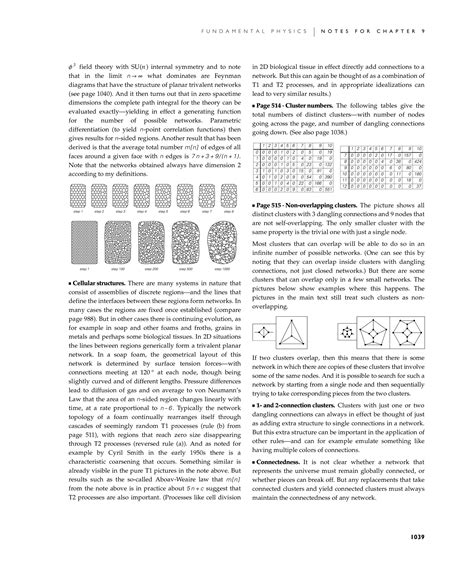 Notes For Evolution Of Networks A New Kind Of Science Online By Stephen Wolfram Page 1039